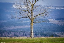 Fotografia e un tablou pictat de soare fără instrucțiuni