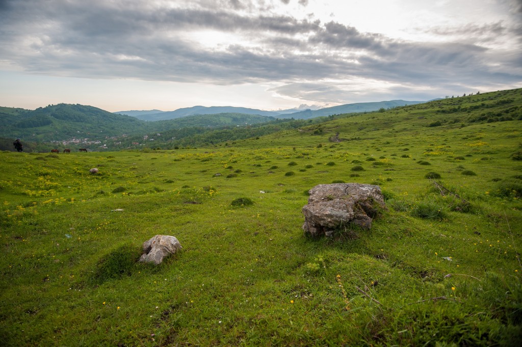 10 peisaje de pe Valea Doftanei | Dragoș Asaftei