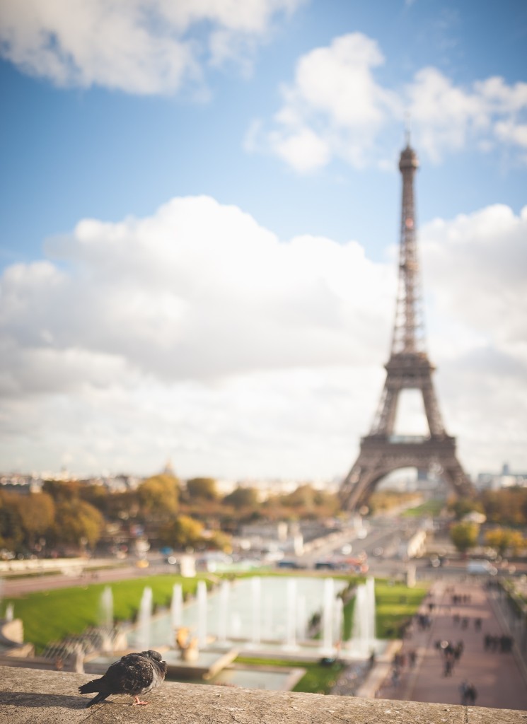 Parisul fotografiat în 24 de ore | Dragoș Asaftei