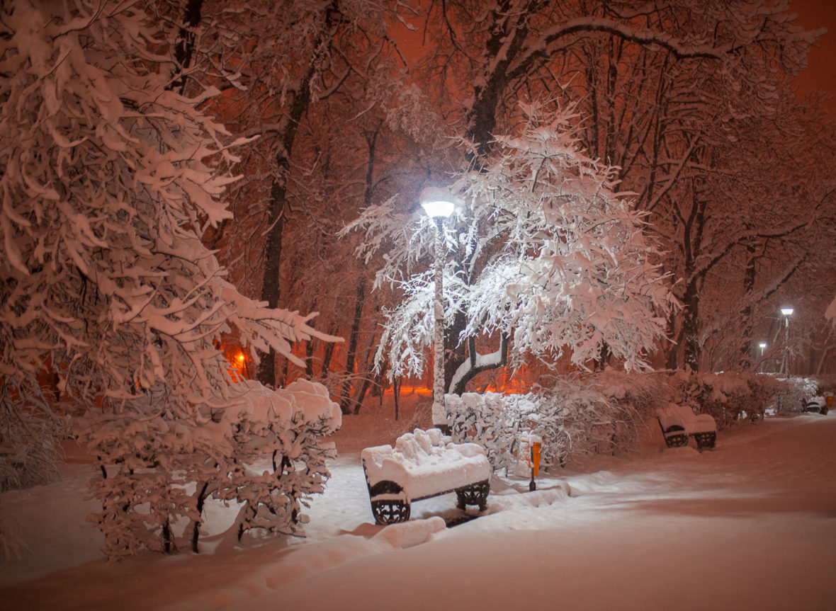 Iarna în București: Prima ninsoare zdravănă din 2020 | Dragoș Asaftei