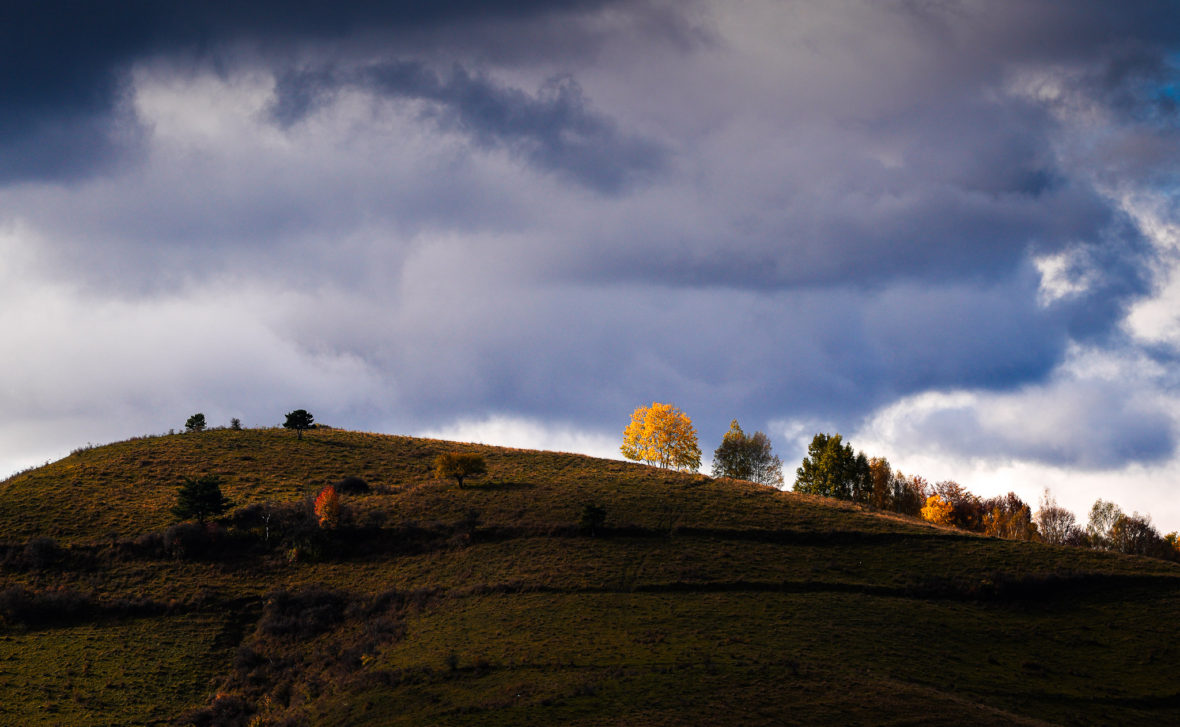 #SateleMunților: Dimineață de toamnă în satul Dumești din Munții ...