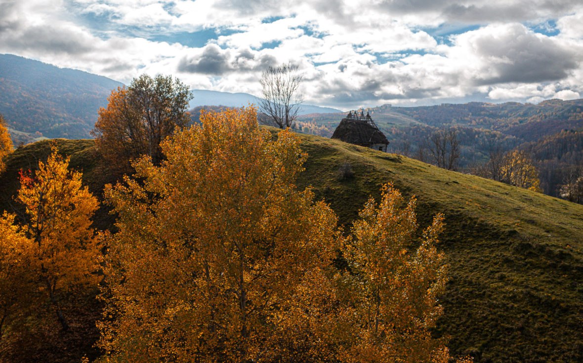#SateleMunților: Dimineață de toamnă în satul Dumești din Munții ...
